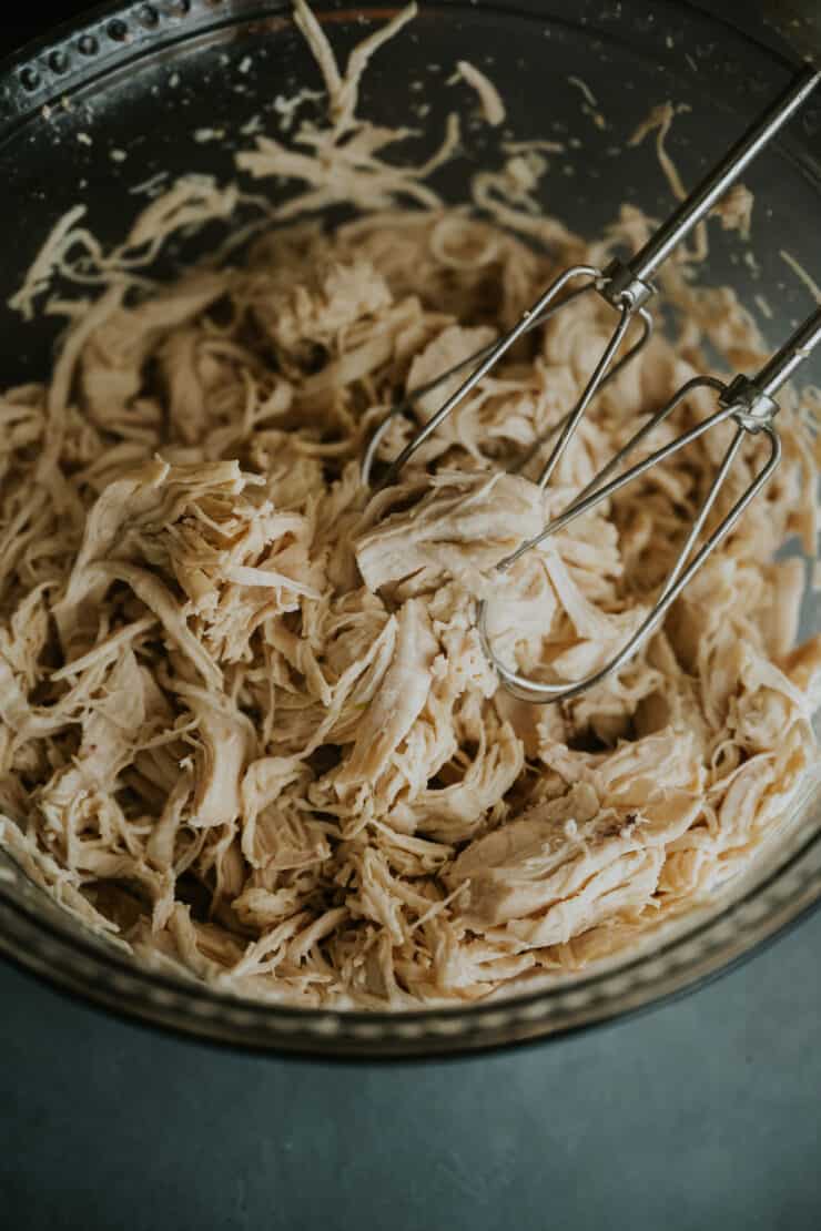Easy Chicken Mole Recipe - Muy Bueno