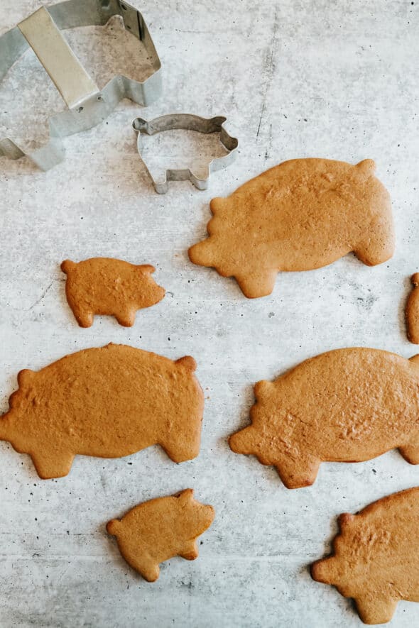 Authentic Mexican Marranitos (Piggy Pan Dulce) - Muy Bueno